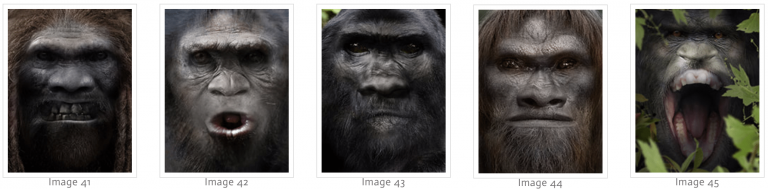 Faces of the Sasquatch | Alberta Sasquatch