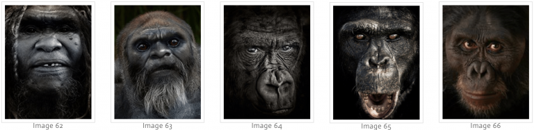 Faces of the Sasquatch | Alberta Sasquatch