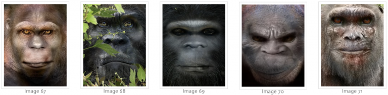 Faces of the Sasquatch | Alberta Sasquatch