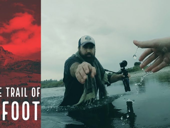 Alberta Sasquatch - Bigfoot in the Canadian Rockies