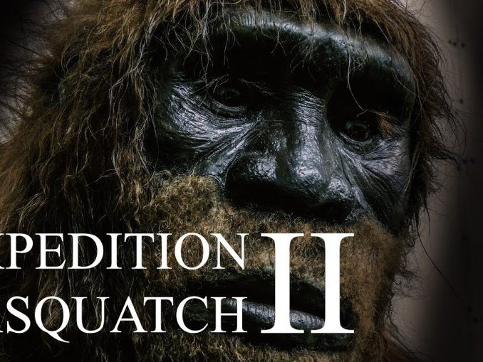 Alberta Sasquatch - Bigfoot in the Canadian Rockies
