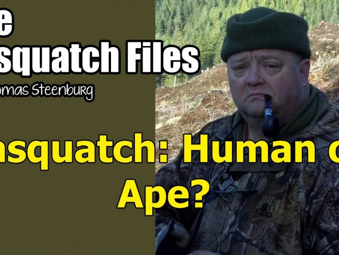 Alberta Sasquatch - Bigfoot in the Canadian Rockies