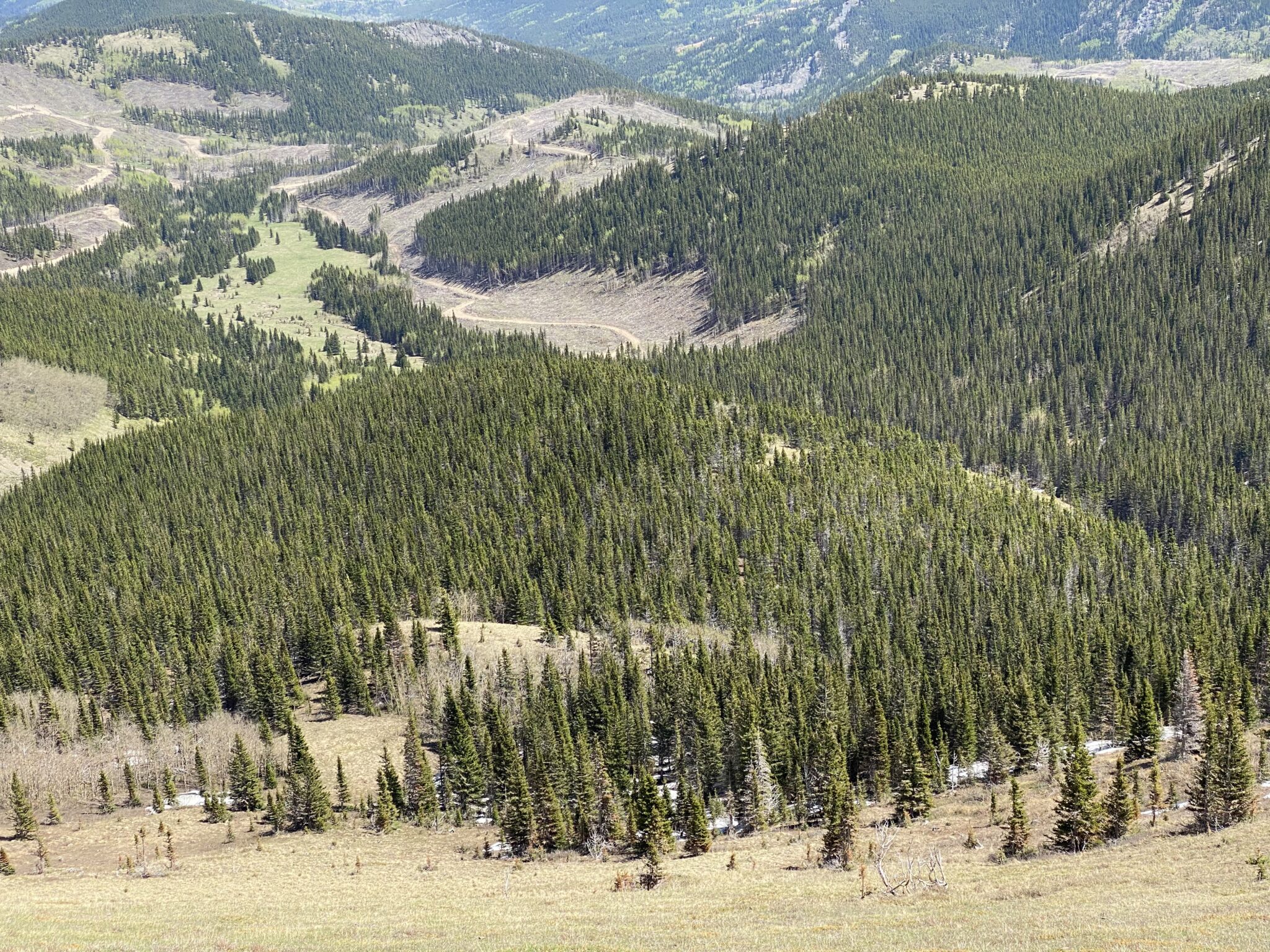 ASO Report #063 – Double Witness Sighting Near Indian Graves | Alberta ...